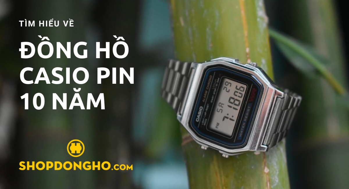 Đồng hồ Casio pin 10 năm có thật sự tốt như lời đồn? Có nên mua không?